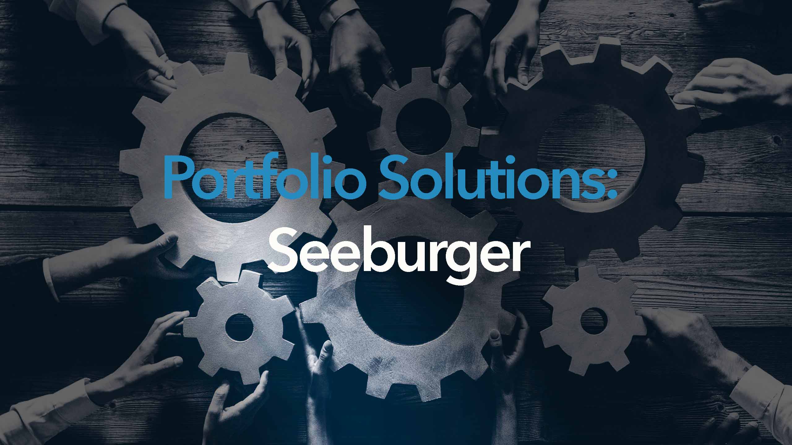 SEEBURGER Business Integration Suite Consulting and Staffing
